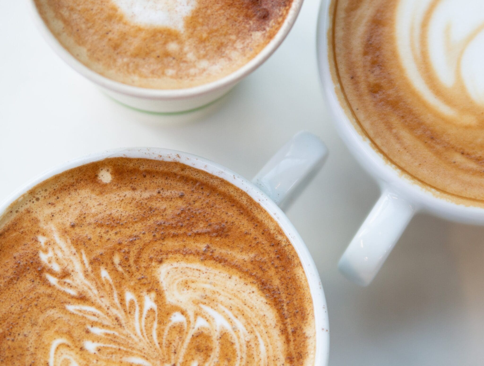 Mushrooms & Adaptogens – E+ROSE Wellness Company